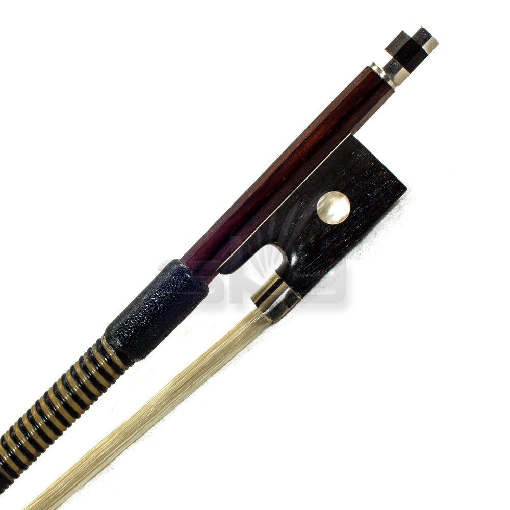 Collections - Rosa Musical Instrument