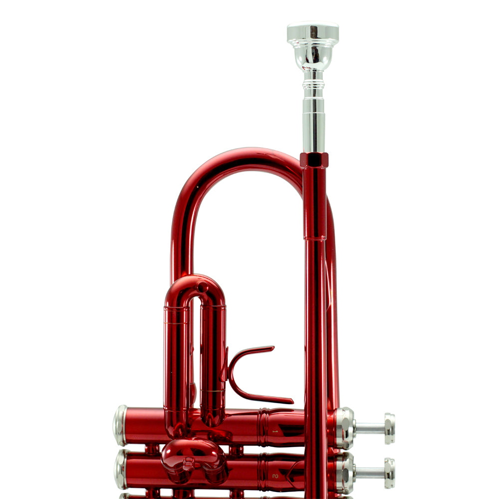 Trumpet - Rosa Musical Instrument