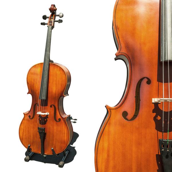 Paititi CE3005PE Scholar 256 Ebony Fitted Matte Finish Wood Cello ...